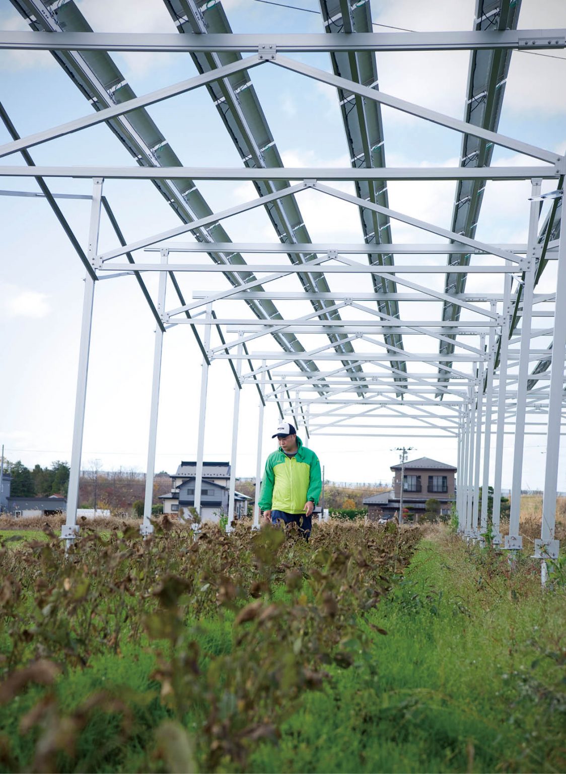 SSF - Solar Sharing for Farmers